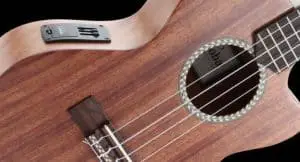 Types of Ukuleles: What Are the Different Kinds of Ukes? (2022 Edition)
