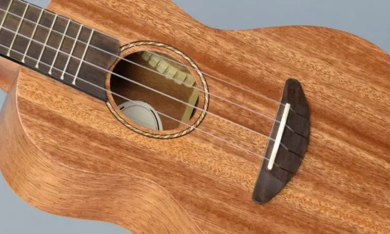 Donner Ukulele Review: Are They Any Good?