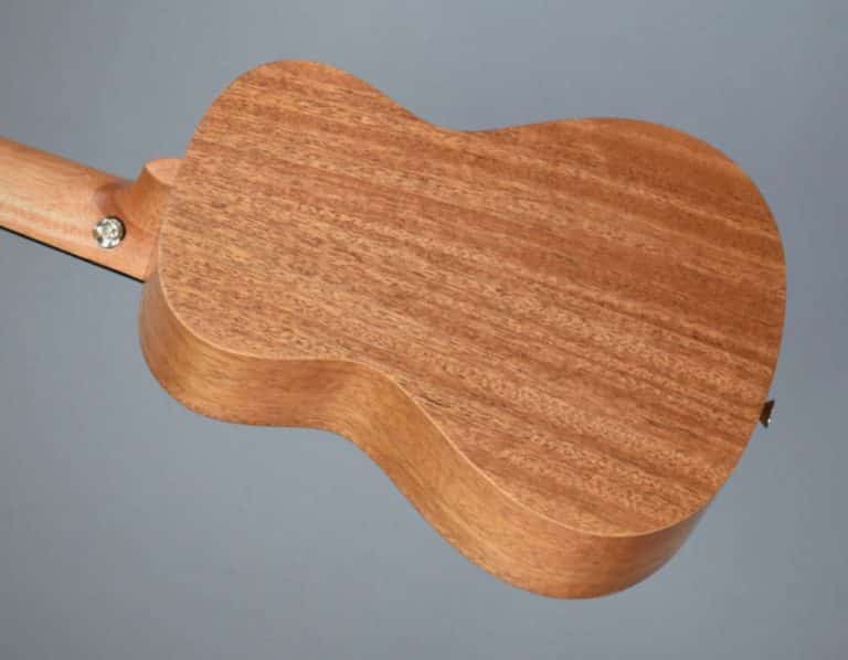 Donner Ukulele Review: Are They Any Good?