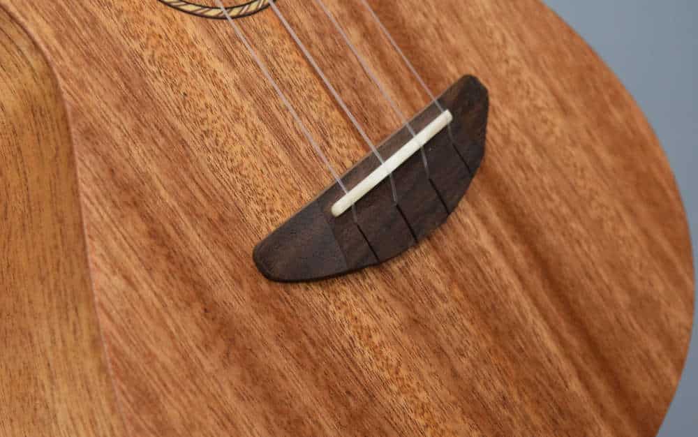 Donner Ukulele Review: Are They Any Good?