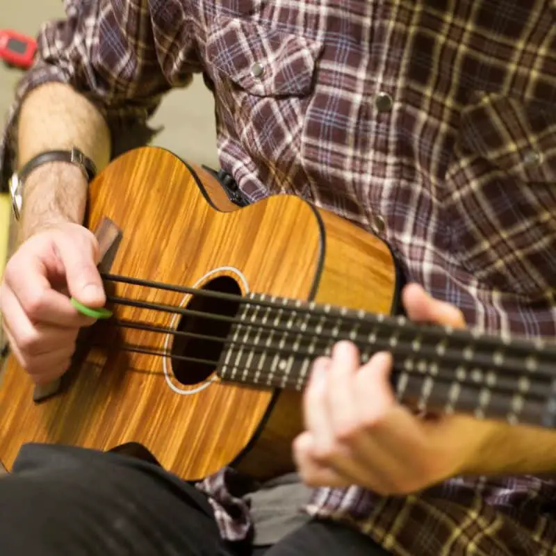 Best Bass Ukulele Reviews & Buyer's Guide